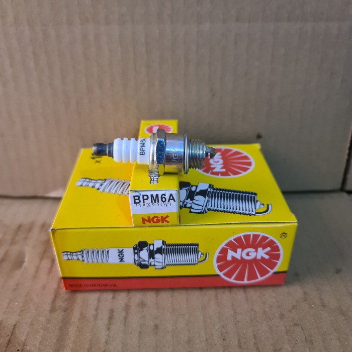 Jual ISI 10 PCS BUSI NGK BPM6A MESIN POTONG PEMOTONG RUMPUT PER KOTAK ISI 10 PCS | Shopee Indonesia