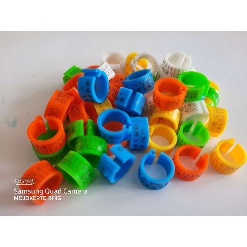 Jual RING MERPATI DEWASA/RING INDUKAN/RING KLIP PLASTIK isi 25 biji ...