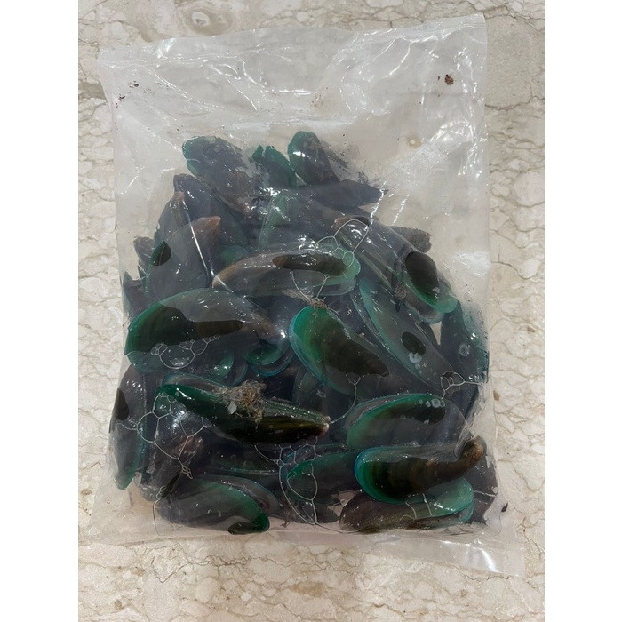 Jual Kerang Hijau Laut 1kg Frozen Seafood Makassar | Shopee Indonesia