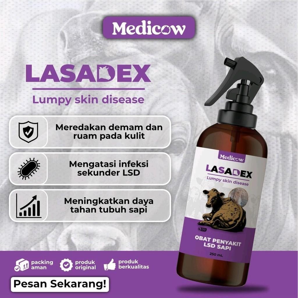 Jual Medicow Lasadex (Obat Lato lato) Lumpy Skin Disease Sapi spray ...