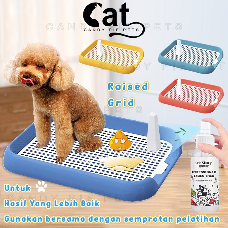Jual Toilet Anjing Dog Toilet Tempat Pipis Anjing Toilet Hewan | Shopee ...