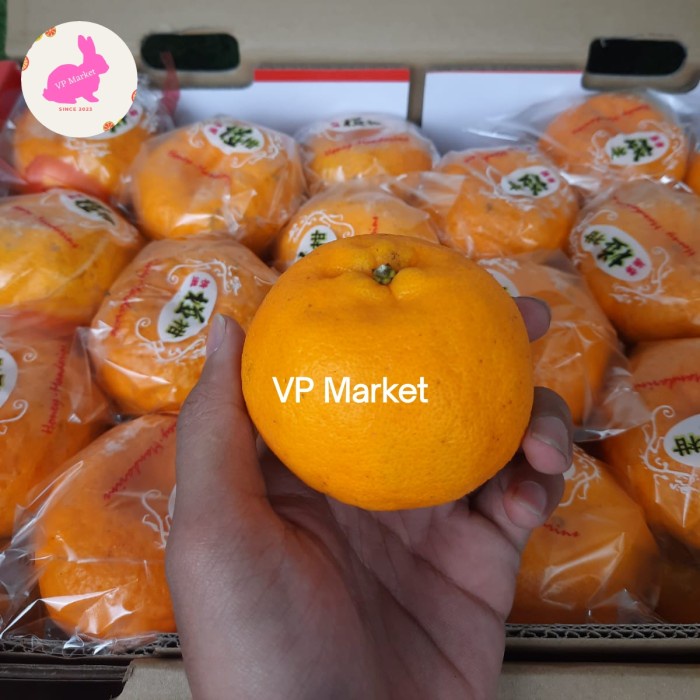 Jual Jeruk Early Ponkam Manis Segar | Kg | Shopee Indonesia