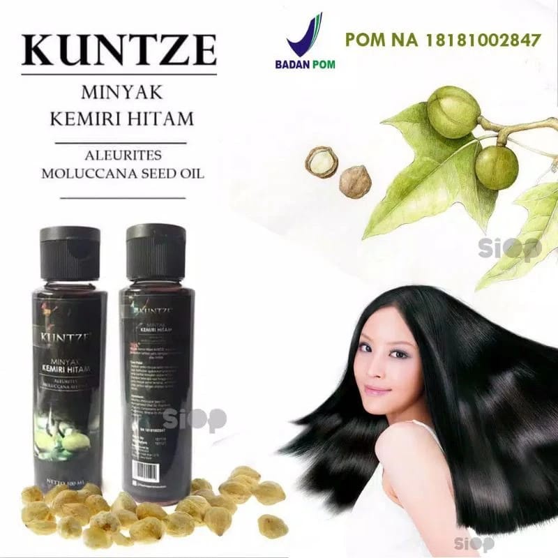 Jual Minyak Kemiri Hitam Penumbuh Rambut Kuntze Penghitam Rambut ...