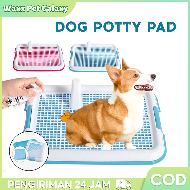 Jual Pet Toilet Training Pee Poop - Tempat Pipis Anjing Kucing Anti ...
