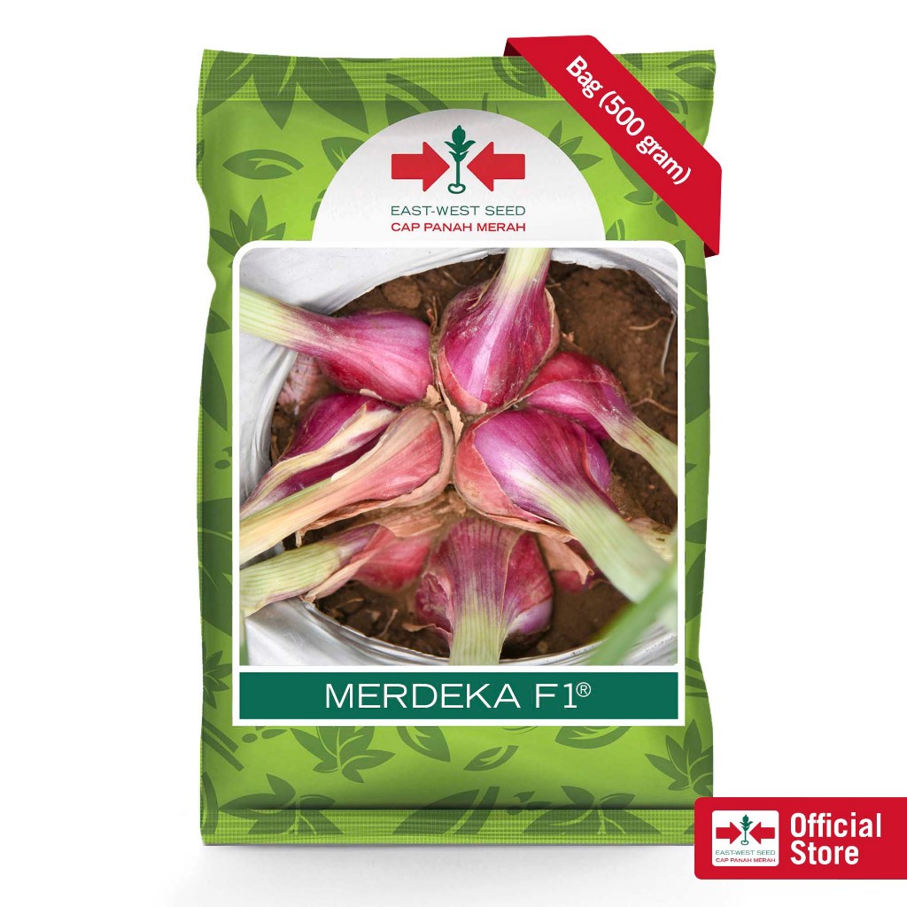 Jual Cap Panah Merah - Benih Bawang Merah Merdeka Isi 500 Gram | Shopee ...