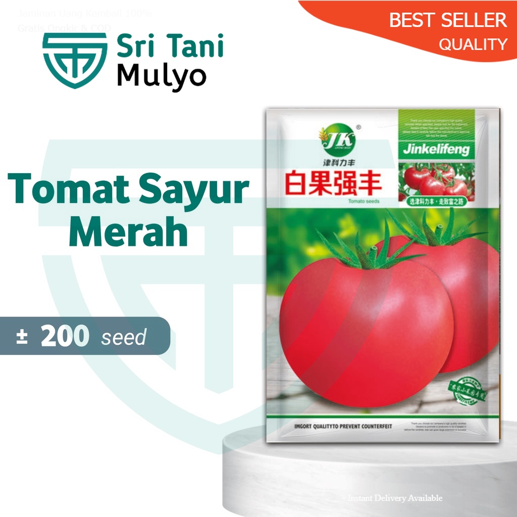 Jual STM Benih Bibit Biji - Tomat Merah Ukuran Besar Seeds Bibit ...