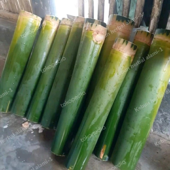Jual bambu lemang bakar nasi | Shopee Indonesia