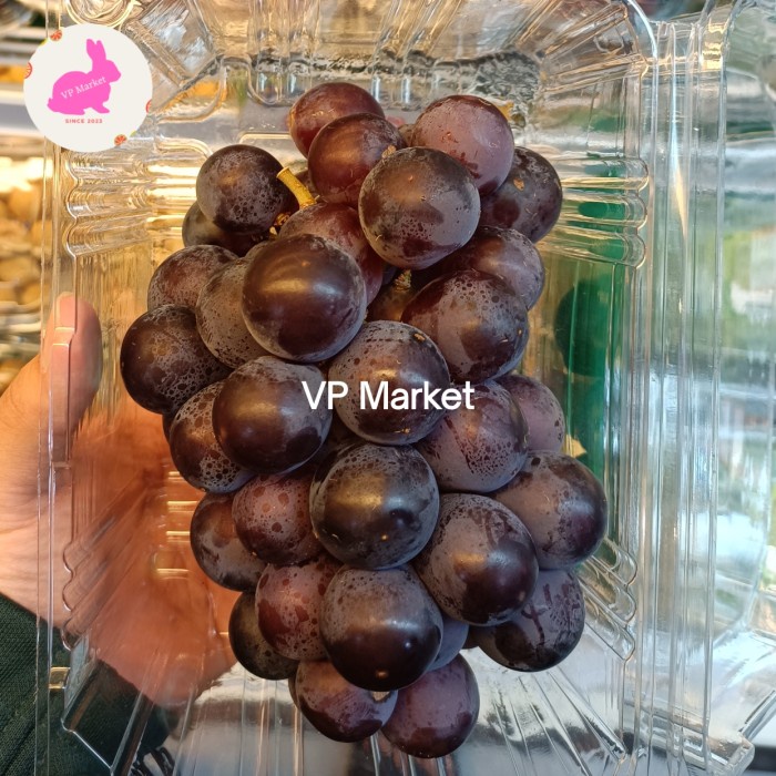 Jual Anggur Kyoho Fresh Import | Pack | Shopee Indonesia