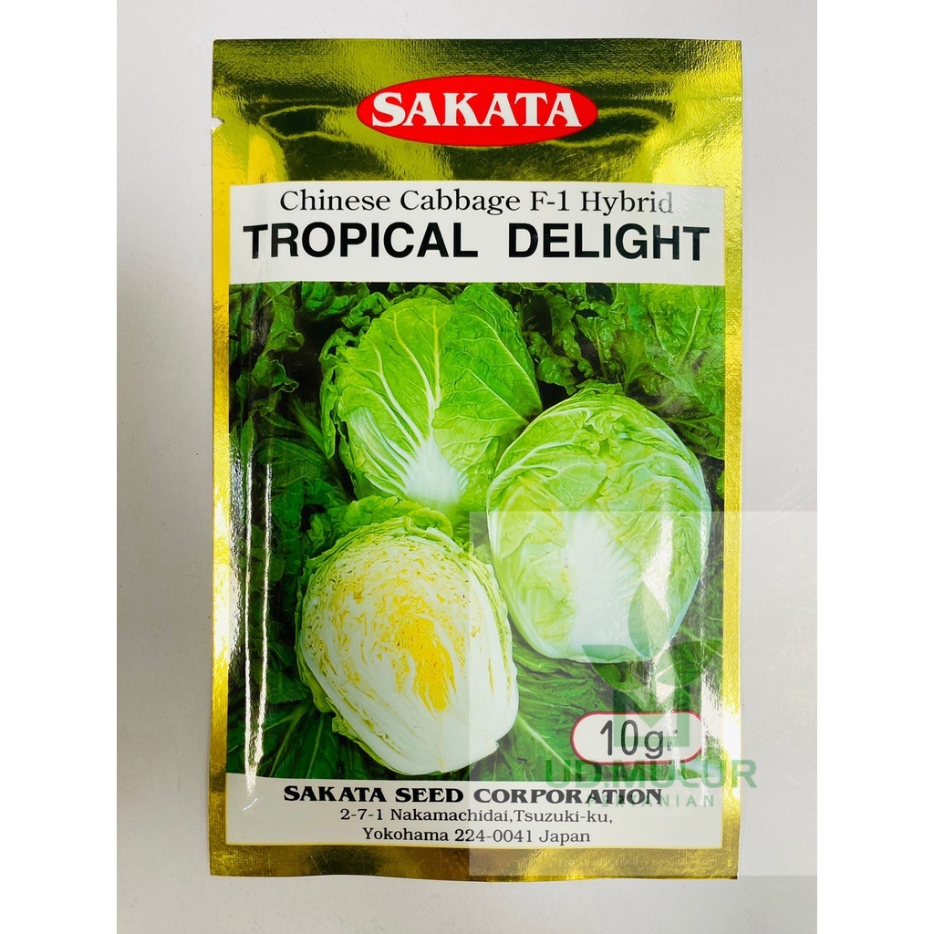 Jual Benih sawi putih chinese f1 TROPICAL DELIGHT isi 10gr dr SAKATA ...