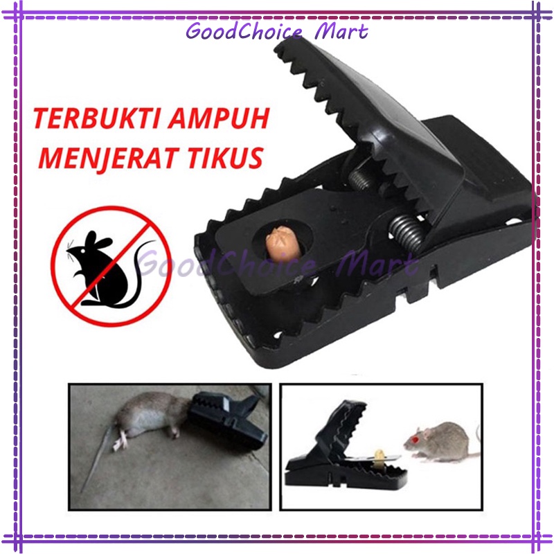 Jual Mouse Trap Jebakan Tikus Perangkap jepretan Alat Jepit Pembasmi ...