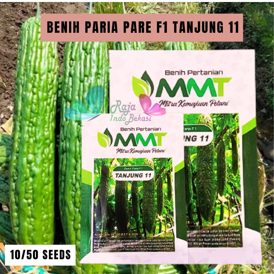 Jual ORI Biji Benih PARIA PARE F1 TANJUNG 11 MMT 20 GR Seed - Kemasan ...