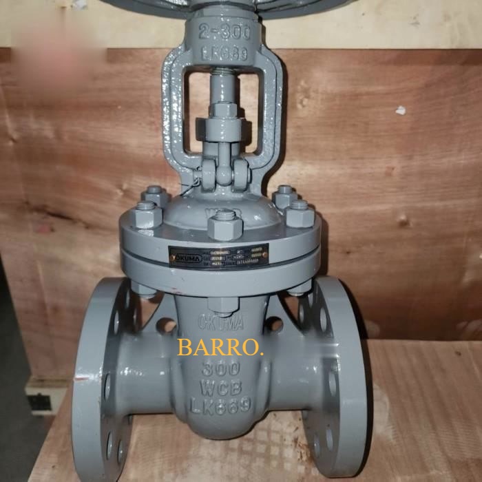 Jual Gate Valve WCB 3" Inch DN80 Flange Ansi 300 Rising Steam | Shopee ...