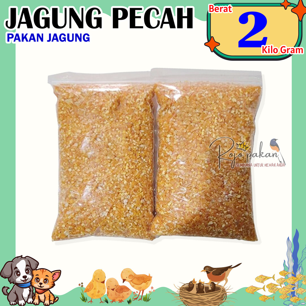 Jual RP Pakan Burung Dara Merpati Ayam Unggas Jagung Pecah Kemasan 2 kg ...
