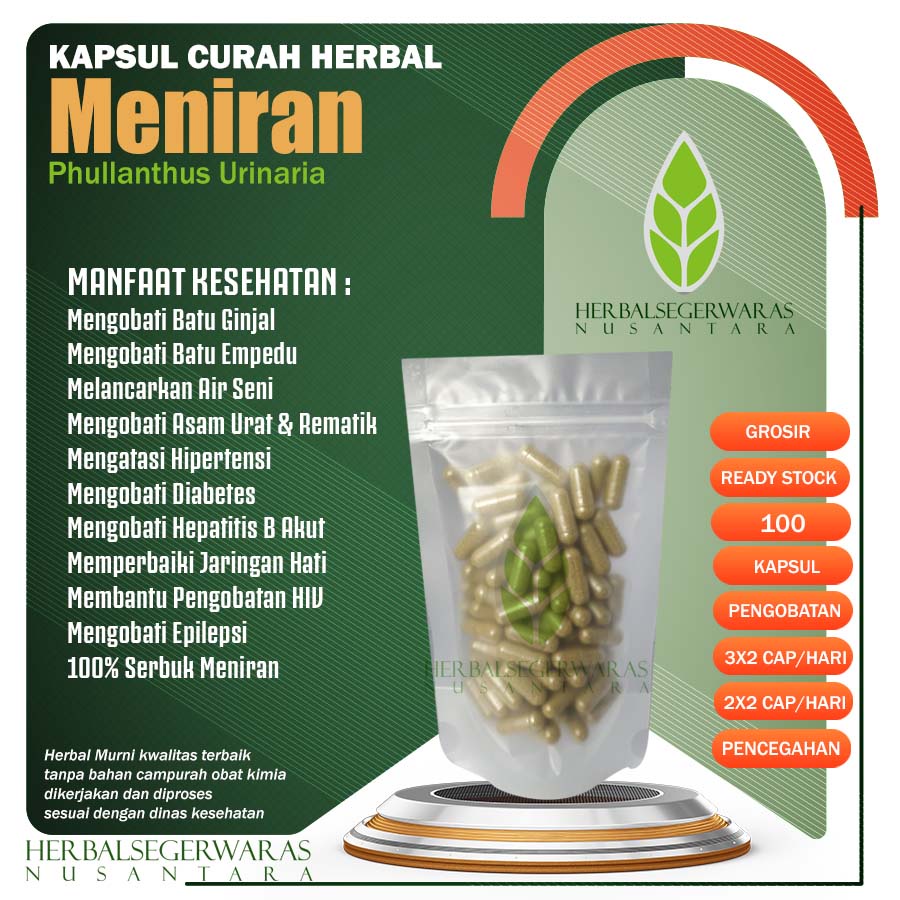 Jual MENIRAN 100 Kapsul Herbal Batu Ginjal Empedu Peluruh Kencing ...