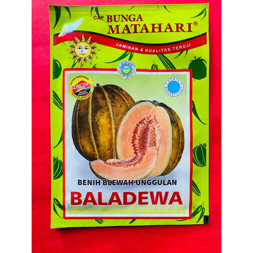 Jual Benih garbis blewah BALADEWA dari CAP BUNGA MATAHARI cocok untuk ...