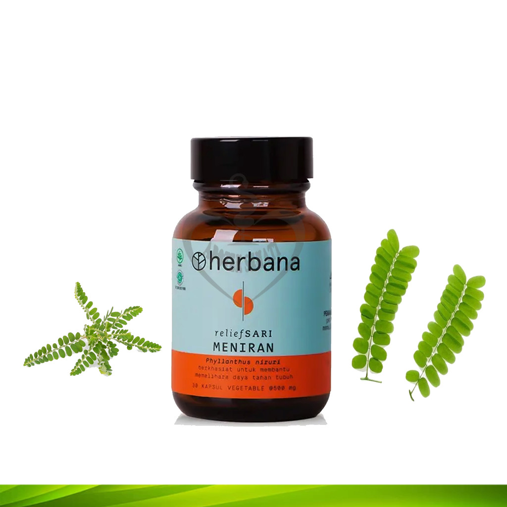 Jual Herbana Meniran 30 kapsul Menjaga Daya Tahan Tubuh | Shopee Indonesia