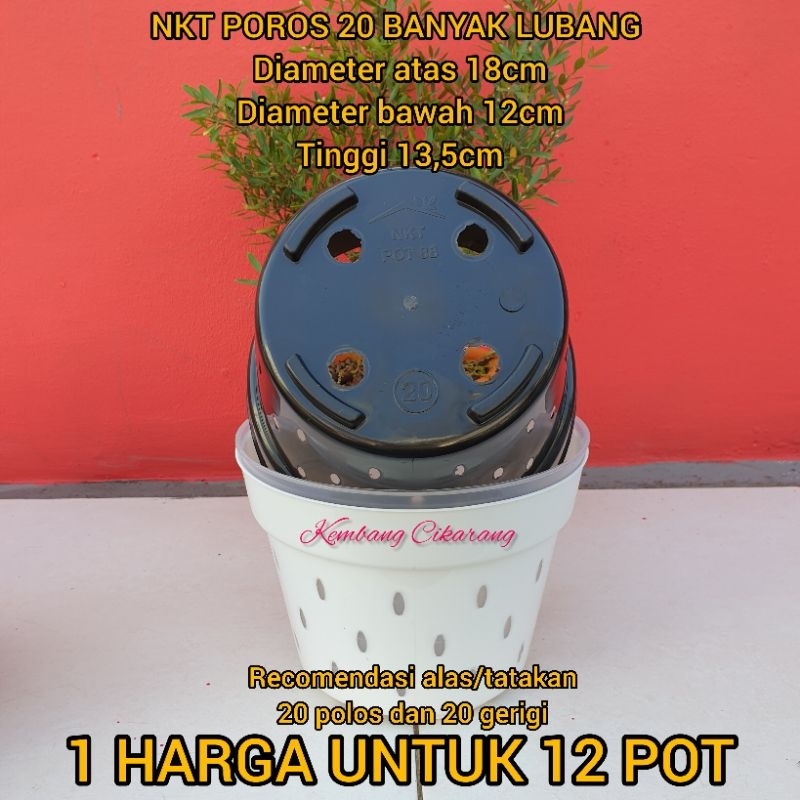 Jual (12 pcs) LUSIANAN NKT POROS 20 (18cm) BANYAK LUBANG : pot bunga ...