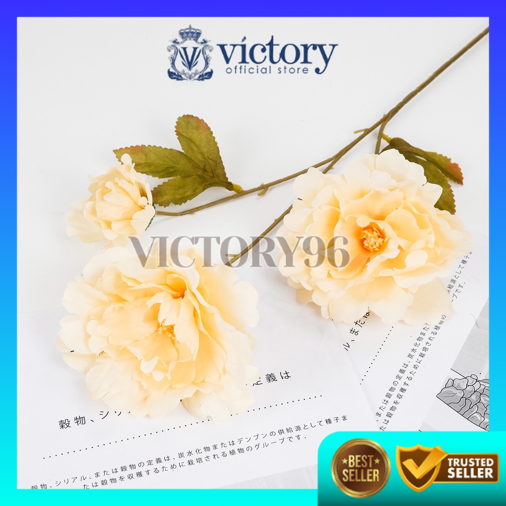 Jual Bunga Mutan Peony Jumbo Tangkai Panjang Cabang 3 Flowers Besar ...