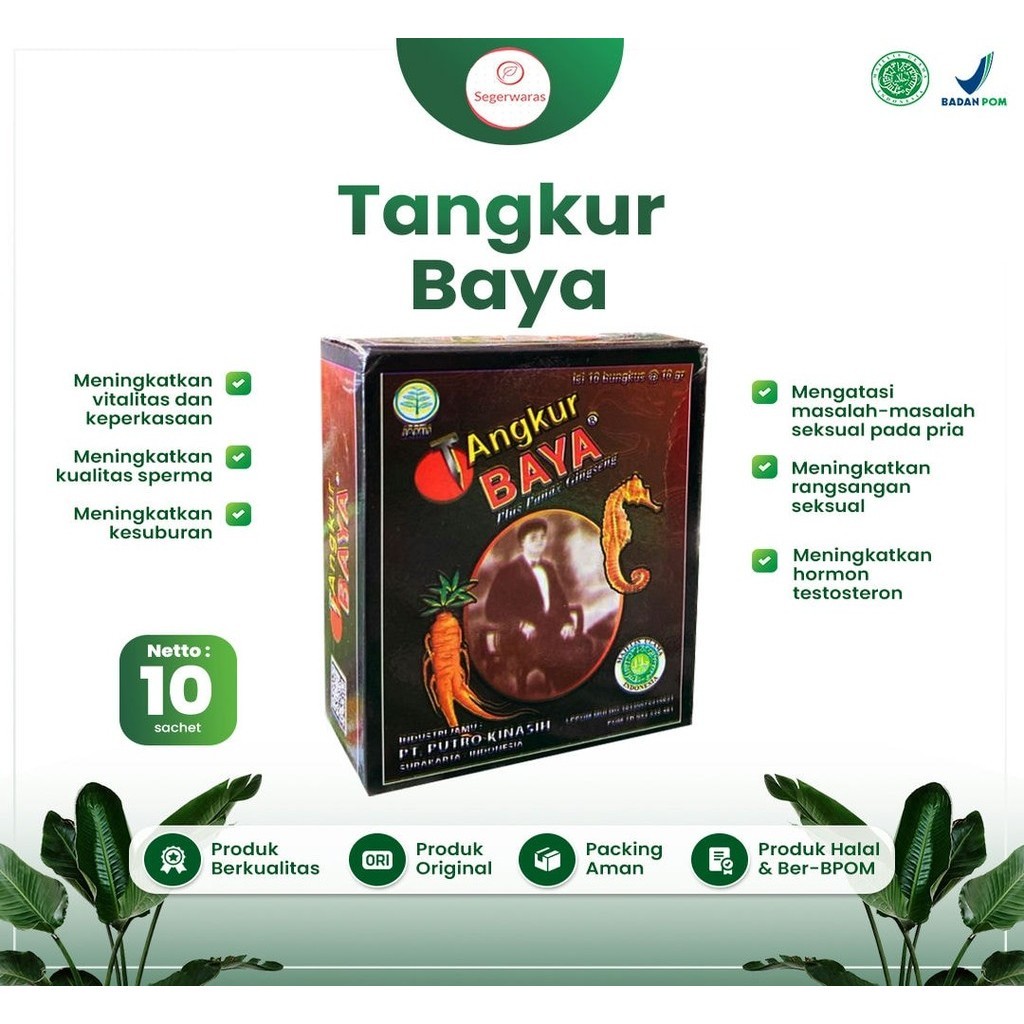 Jual Jamu Pria Angkur/Tangkur Baya Plus Tribulus Terrestris & Kuda Laut ...