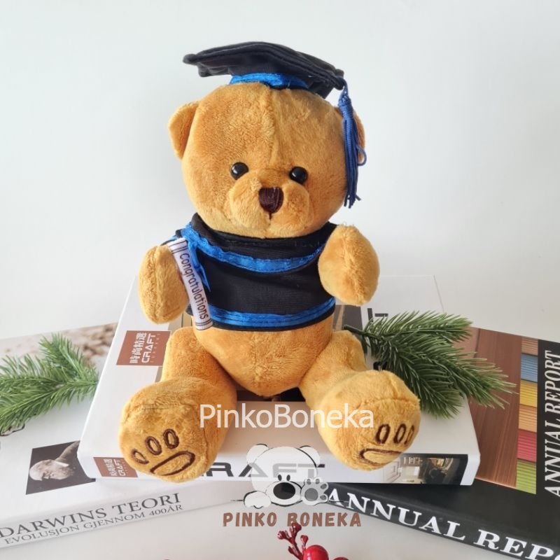 2019 graduation bear store