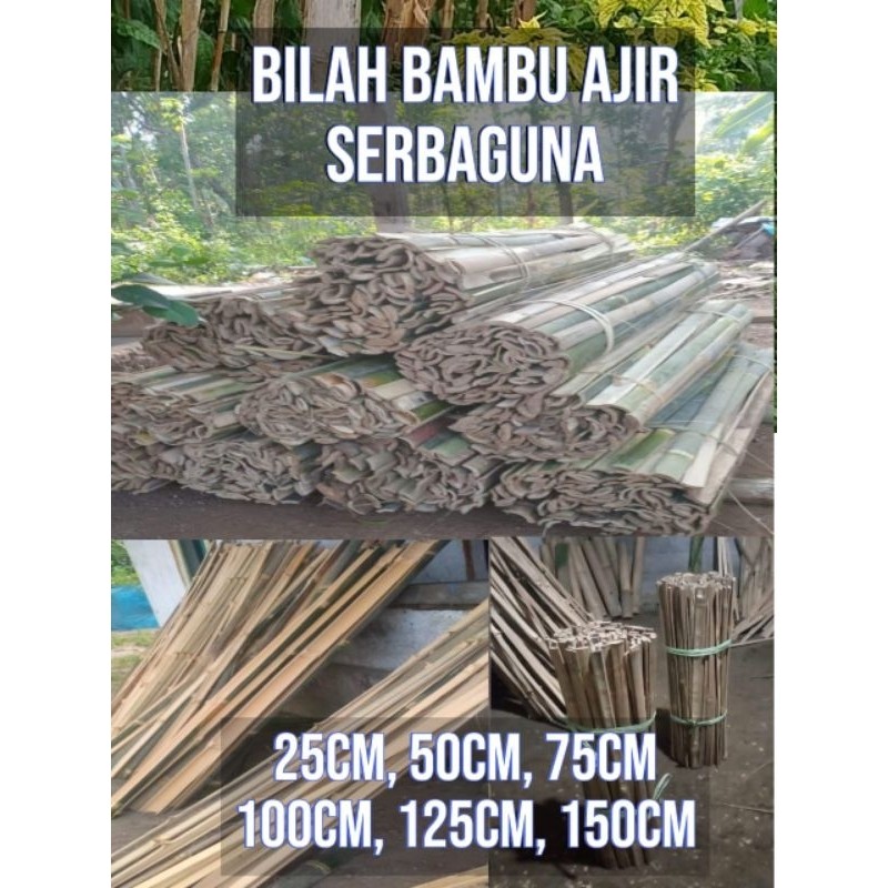 Jual Bambu bilah / Pring Lanjaran / Bambu Turus Ajir Serbaguna berbagai ...
