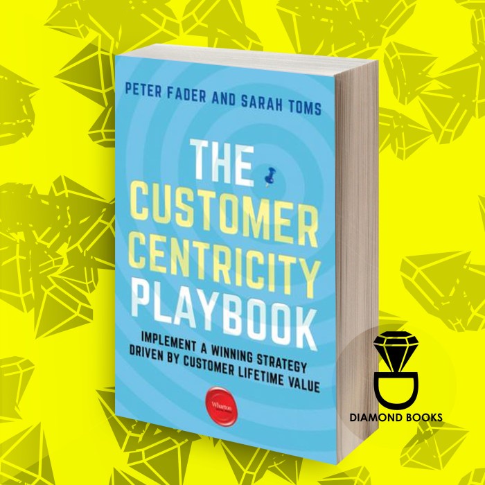 Jual The Customer Centricity Playbook: Implement a Winning Strategy ...