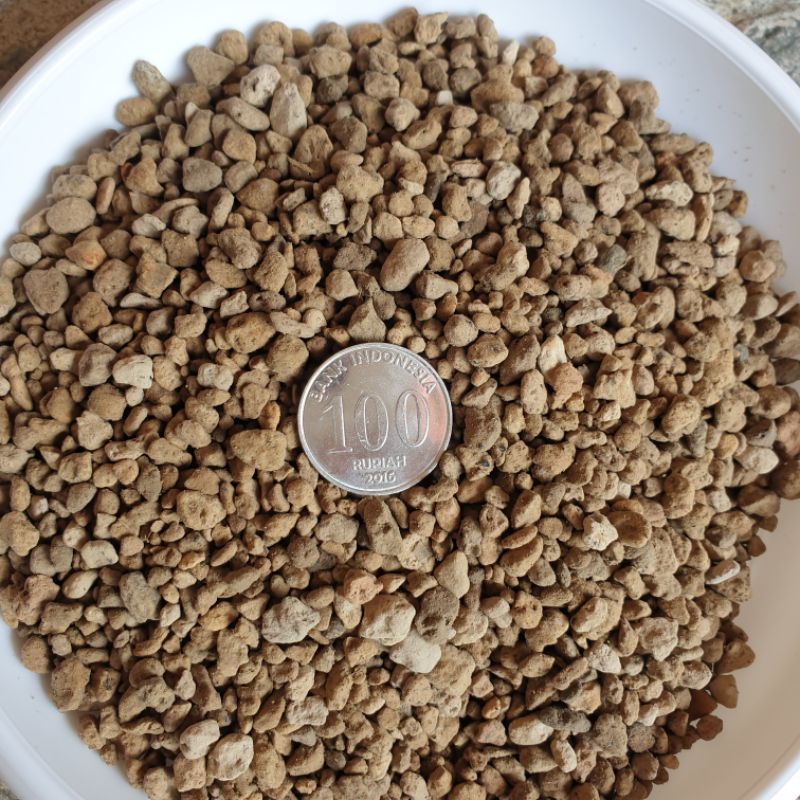 Jual (1 ktg) PUMICE STONE BATU APUNG pumis media tanam kaktus kemasan ...