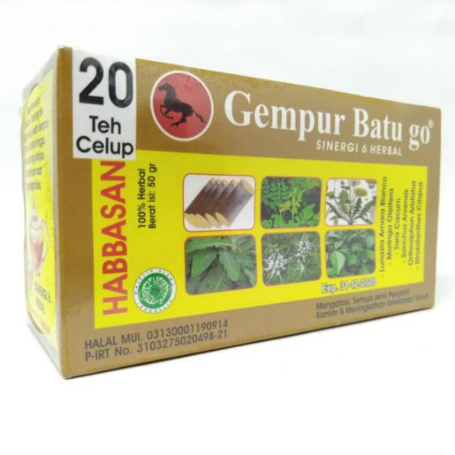 Jual OBAT GINJAL/TEH CELUP GEMPUR BATU GO/SINERGI 6 HERBAL PILIHAN ...