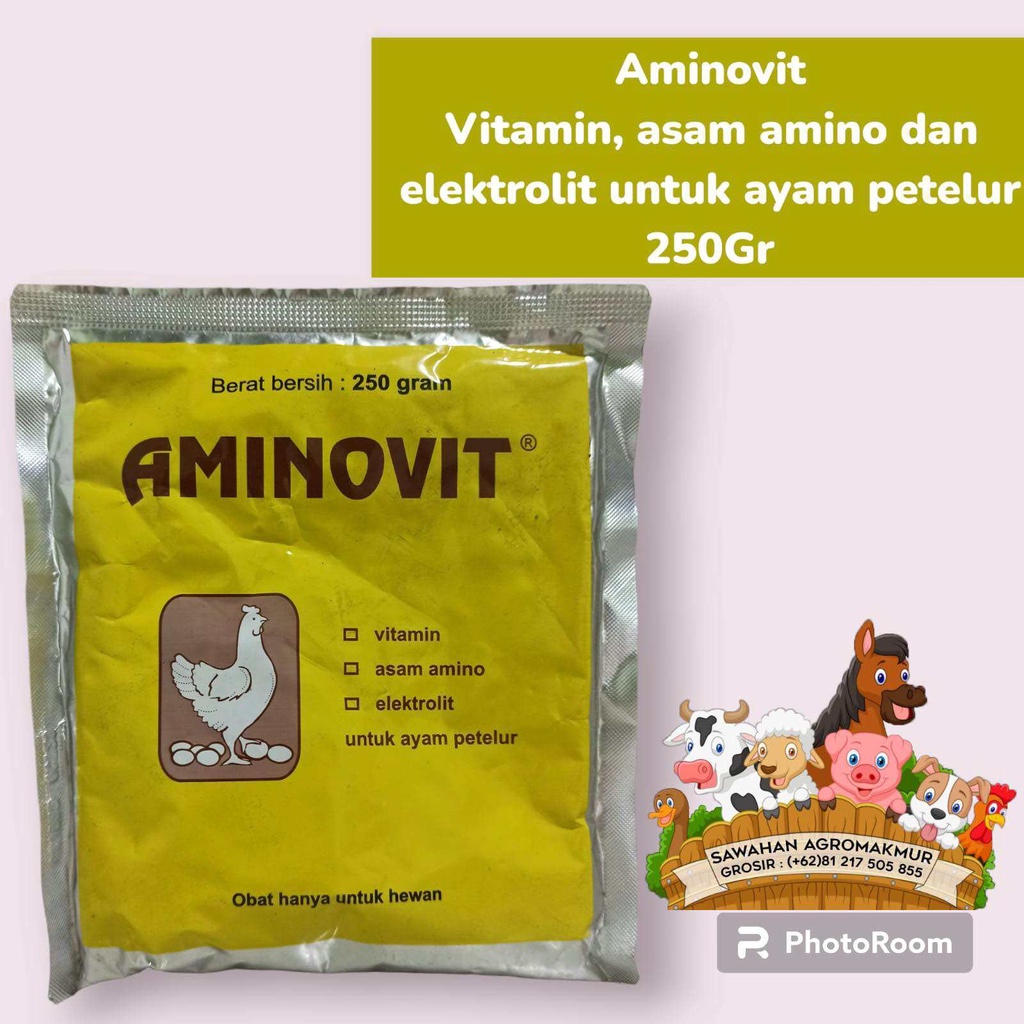 Jual AMINOVIT 250 gram Vitamin asam amino Unggas Ayam Petelur Medion | Shopee Indonesia