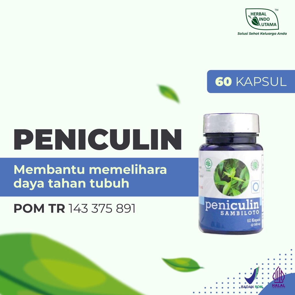 Jual Peniculin Sambiloto Anti Radang Anti Inflamasi Herbal Indo Utama ...