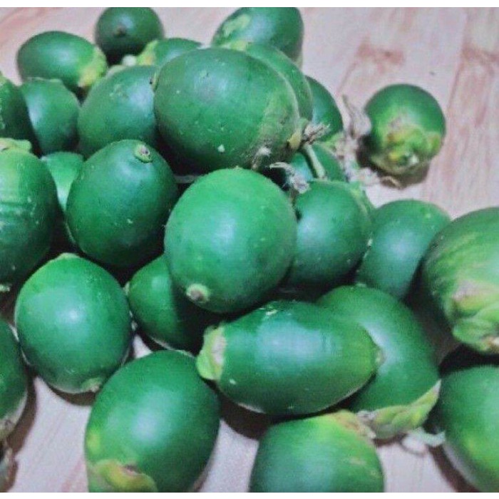 Jual Ready 500gram Buah Pinang Jambe muda fres-Obat Herbal Segar buah ...