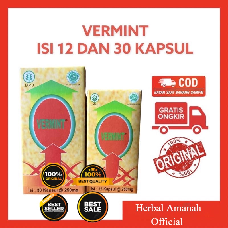 Jual VERMINT ISI 12 DAN 30 KAPSUL ORIGINAL KAPSUL CACING / OBAT TIFUS ...