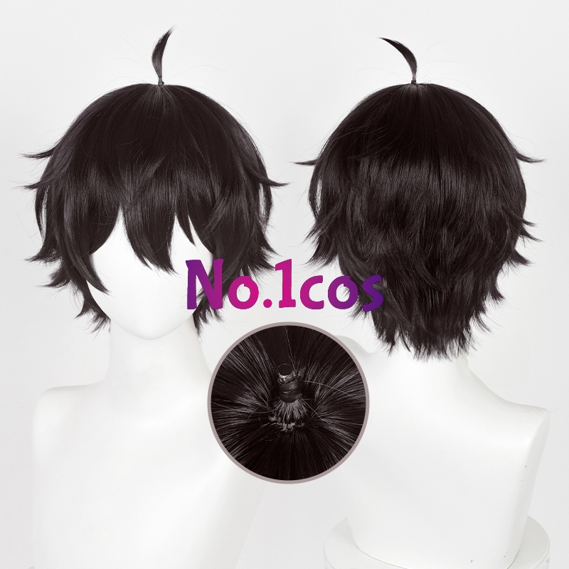 Jual Wig Danheng Hsr Dan Heng Honkai Star Rail Cosplay 30cm Wig ...