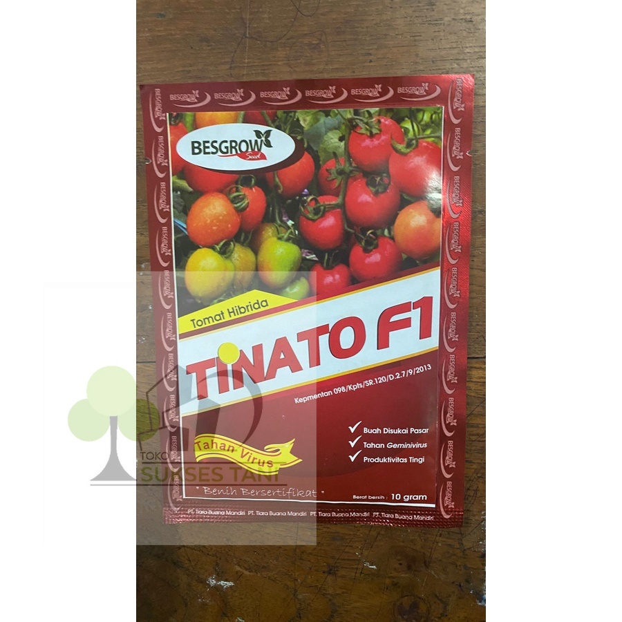Jual Benih Hibrida Tomat TINATO F1 isi 10gr tahan virus dari BESGROW ...