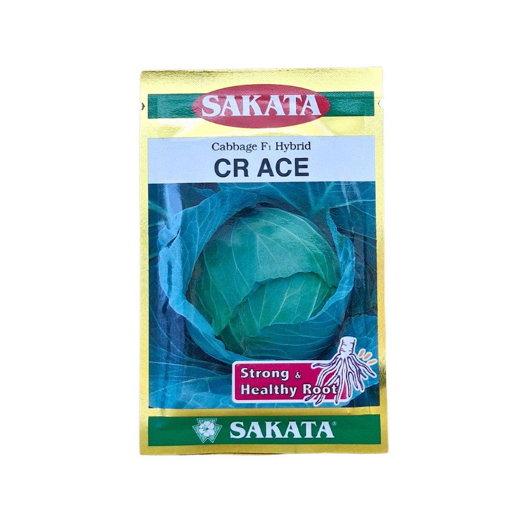 Jual Benih Kubis CR ACE F1 - Kubis Manis dan Tahan Lama untuk Dataran ...