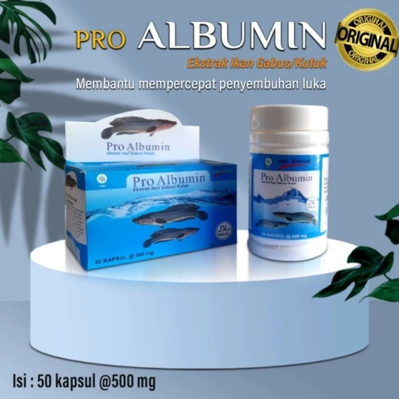 Jual albumin pro Ekstrak ikan gabus 100% Mempercepat penyembuhan pasca operasi dan luka bakar ...