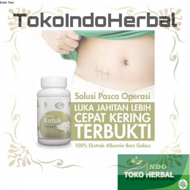 Jual Kapsul Kutuk Premium Original Ekstrak Albumin Ikan Gabus Obat Pengering Luka Operasi Caesar ...