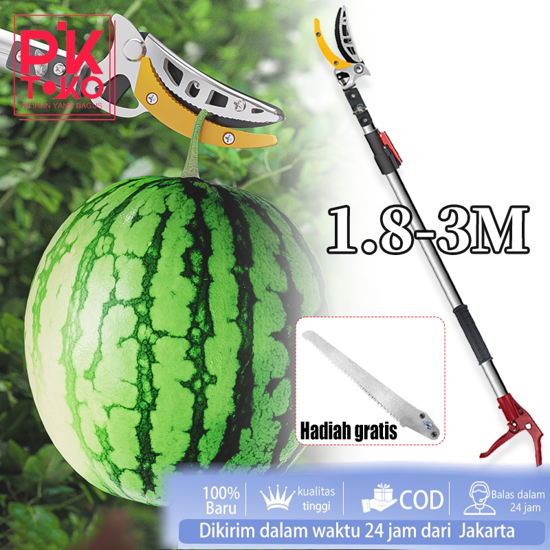 Jual Teleskopis Tree Pruner Pemotong Ranting Yang Tinggi Galah Tongkat Pemotong Gergaji Gunting ...