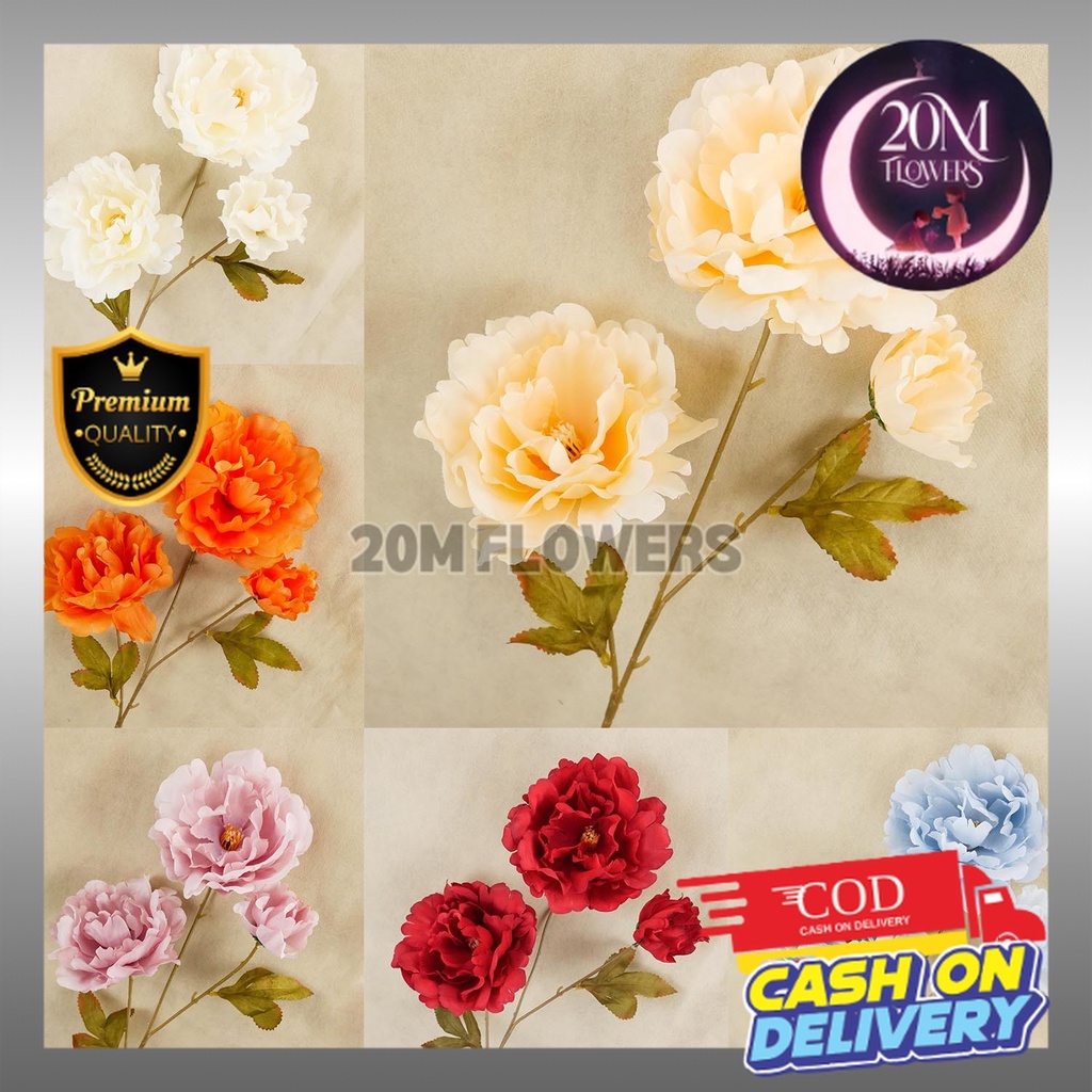 Jual Bunga Peony Jumbo Tangkai Panjang Cabang 3 Mutan Flowers Besar ...