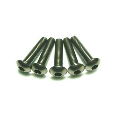 Jual TP (3 x 16 mm) Titanium Hex Round Head Screw (1 pc) (TP-BH3X16T ...