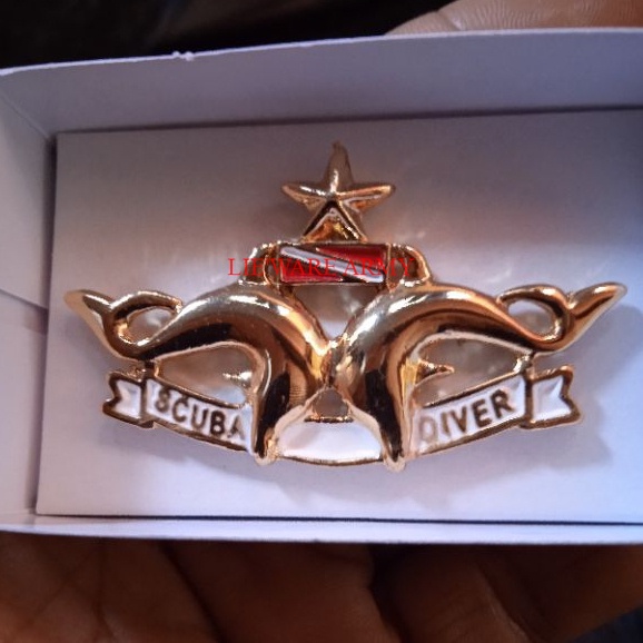 Jual Brevet Wing Pin Scuba Diver Tni Ad | Shopee Indonesia