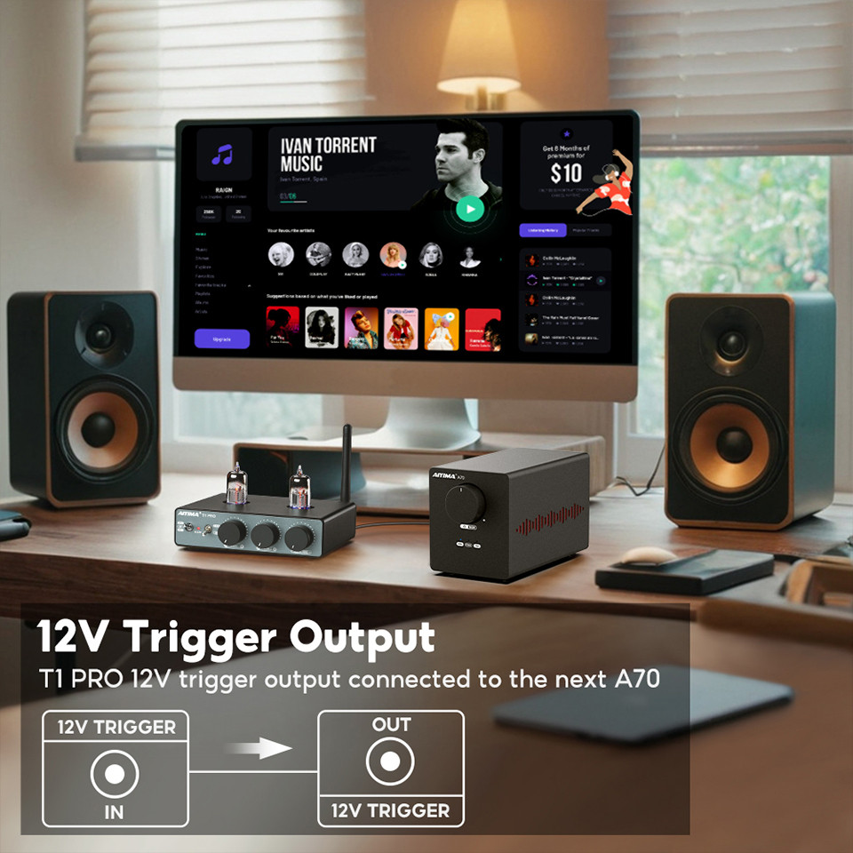 Jual AIYIMA T1 PRO 6186 Tube Preamp Vacuum Pre-Amplifier Bluetooth 5.1 ...