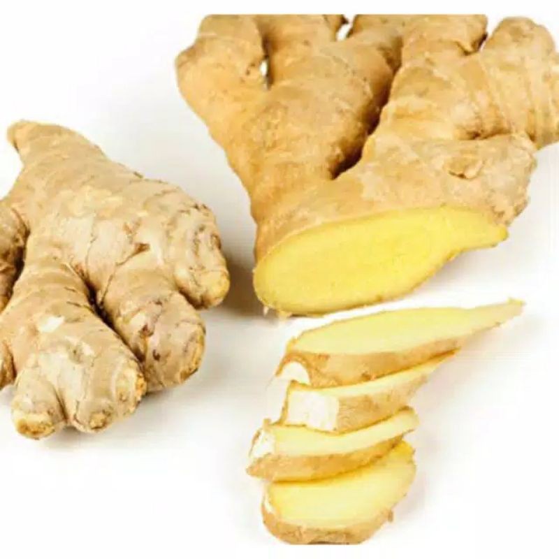 Jual TEMU PUTIH 500G/TEMU KUNIR SEGAR CURCUMA ZEDOARIA FRESH | Shopee ...