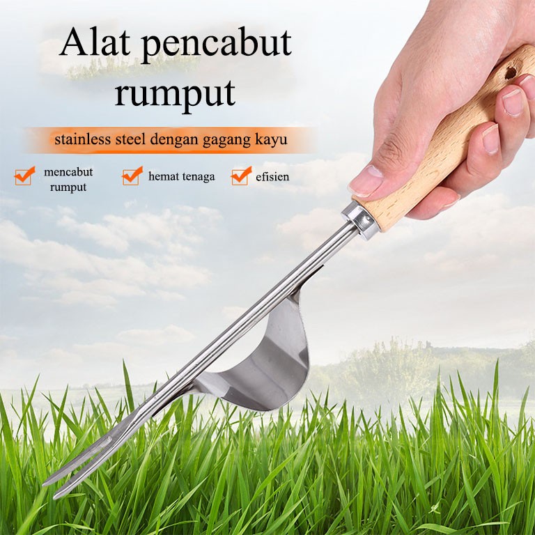 Jual Alat Pencabut Rumput Liar 31cm Stainless Pencabut Rumput/Akar ...