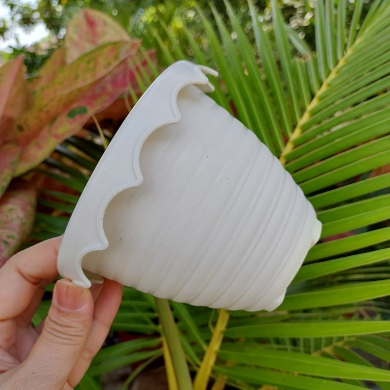 Jual BEE 13 : pot bunga model tawon taiwan pot kaktus pot kecil tebal ...