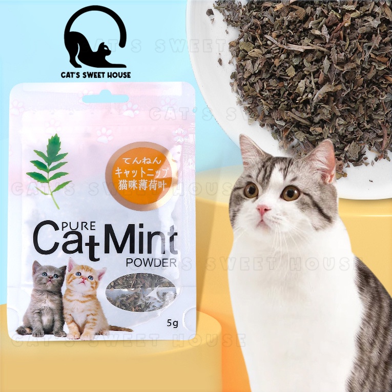 Jual Cat Mint Catnip Powder Cemilan Snak Kucing Cat Kitten Pure Catmint ...