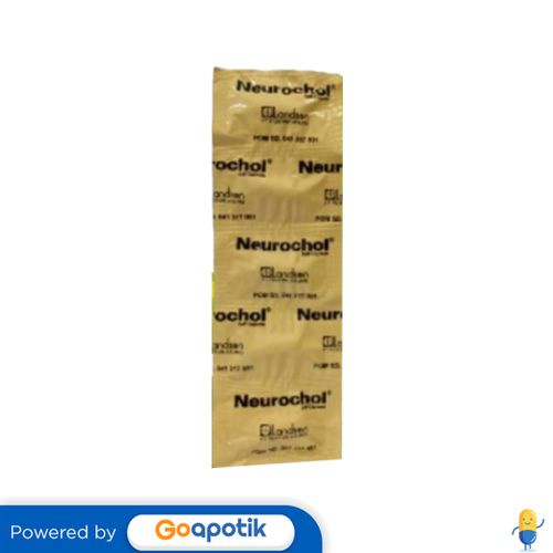 Jual Neurochol Strip 5 Kapsul | Shopee Indonesia