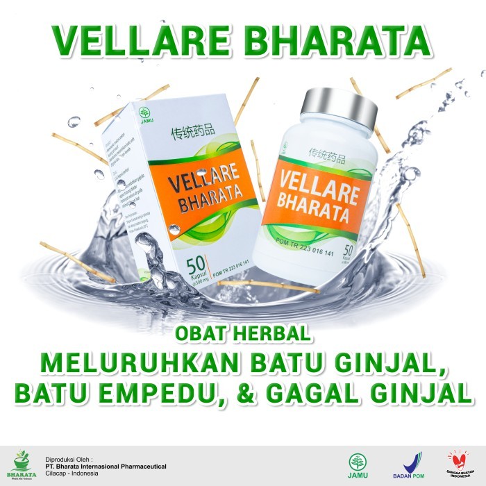 Jual Vellare Bharata Obat Batu Ginjal Empedu Kencing Batu Gagal Ginjal Penghancur Batu ...