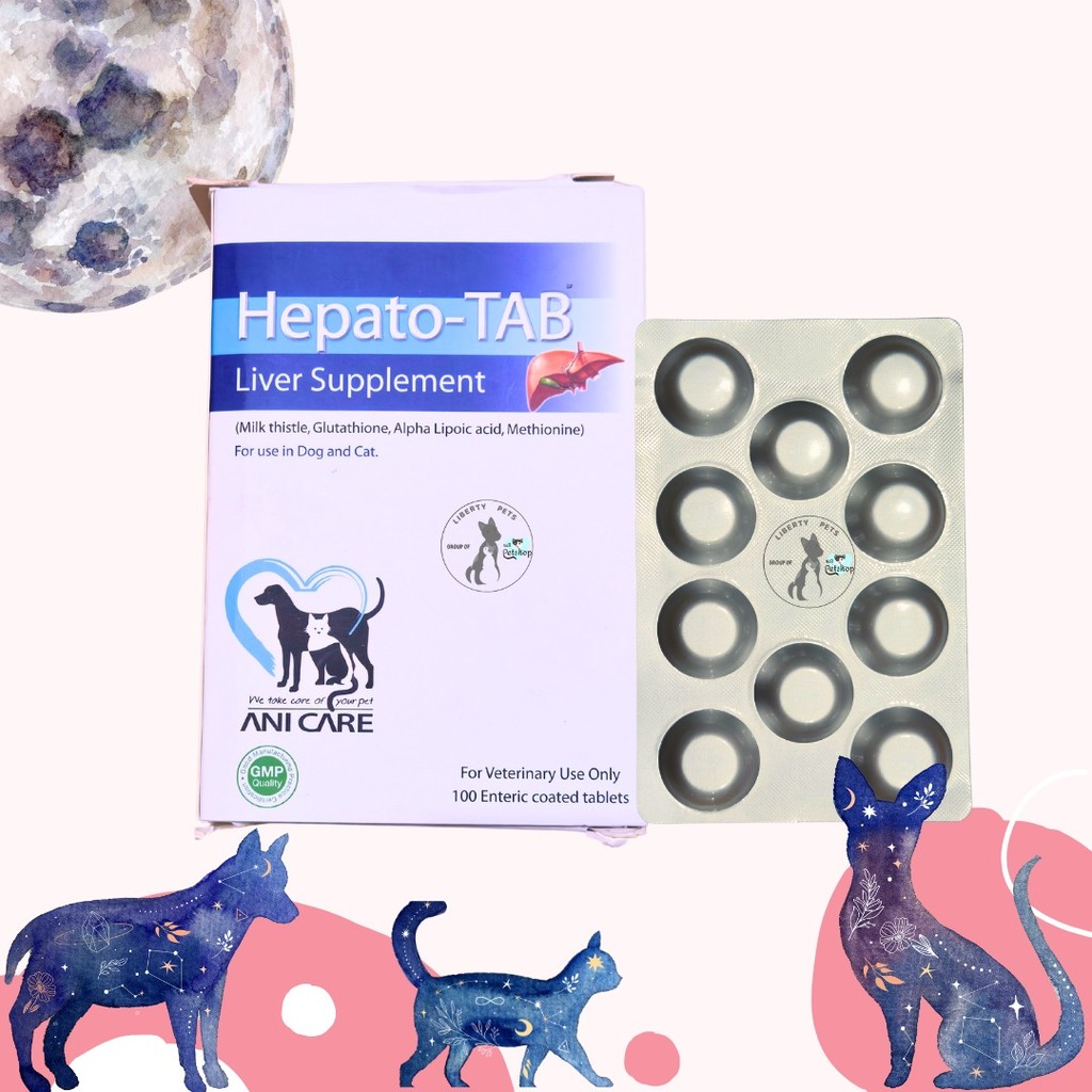 Jual HEPATO TAB Liver Supplement Vitamin Cat Dog / Hepatic (Samylin ...