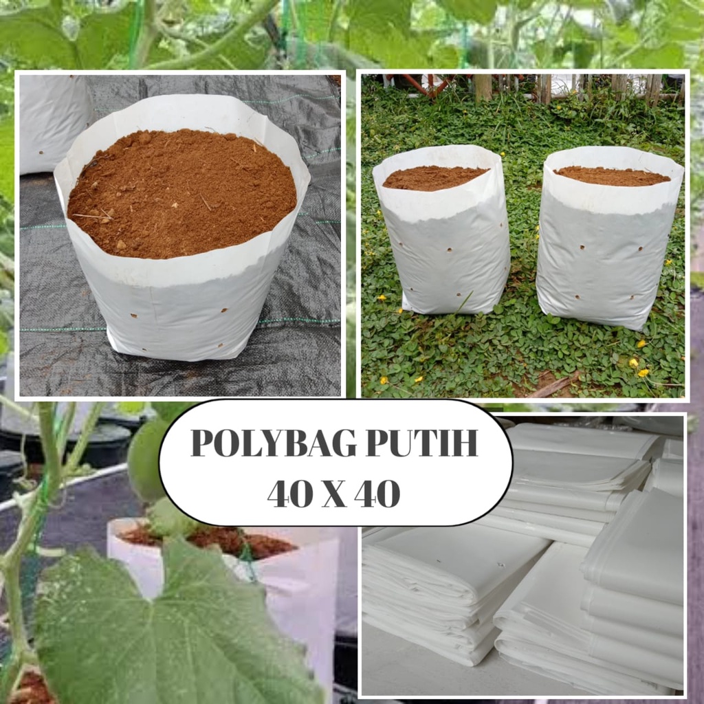 Jual Polybag Putih 40 x 40 ( 40 Lembar ) | Shopee Indonesia